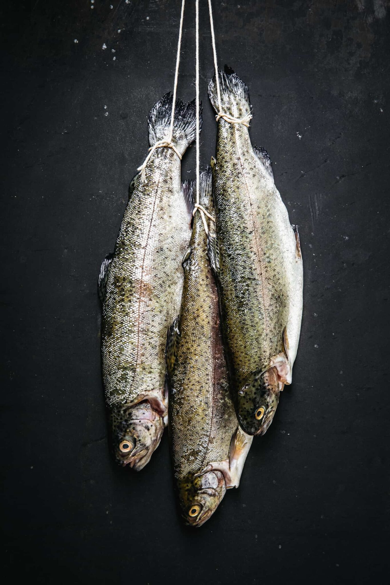 Summer Citrus & Herb-Stuffed Whole Trout — add1tbsp