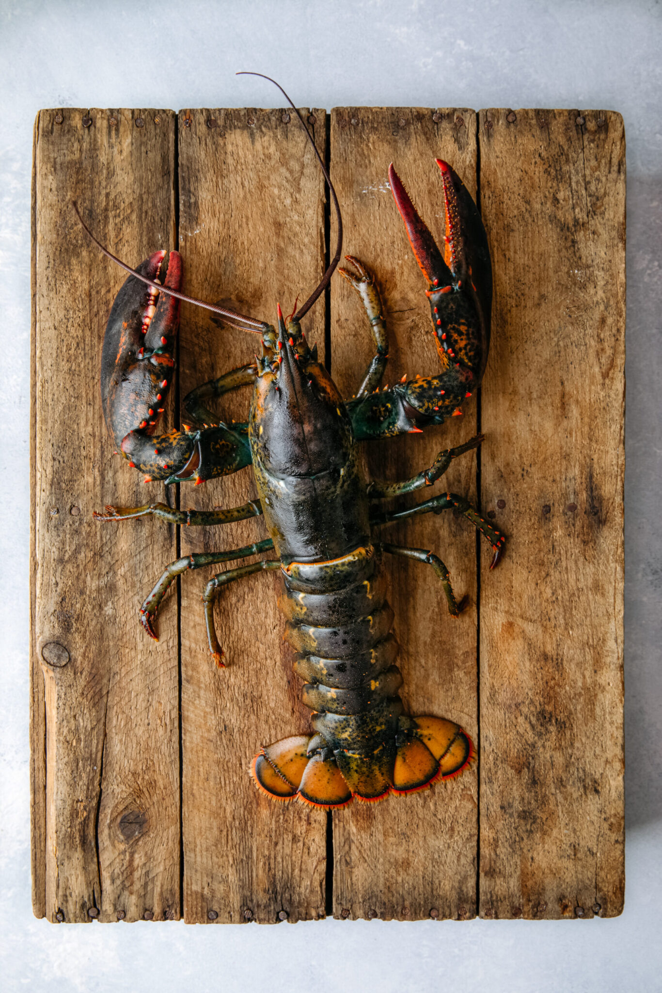 Quick and Easy Split Broiled Lobster with Herb Butter — add1tbsp