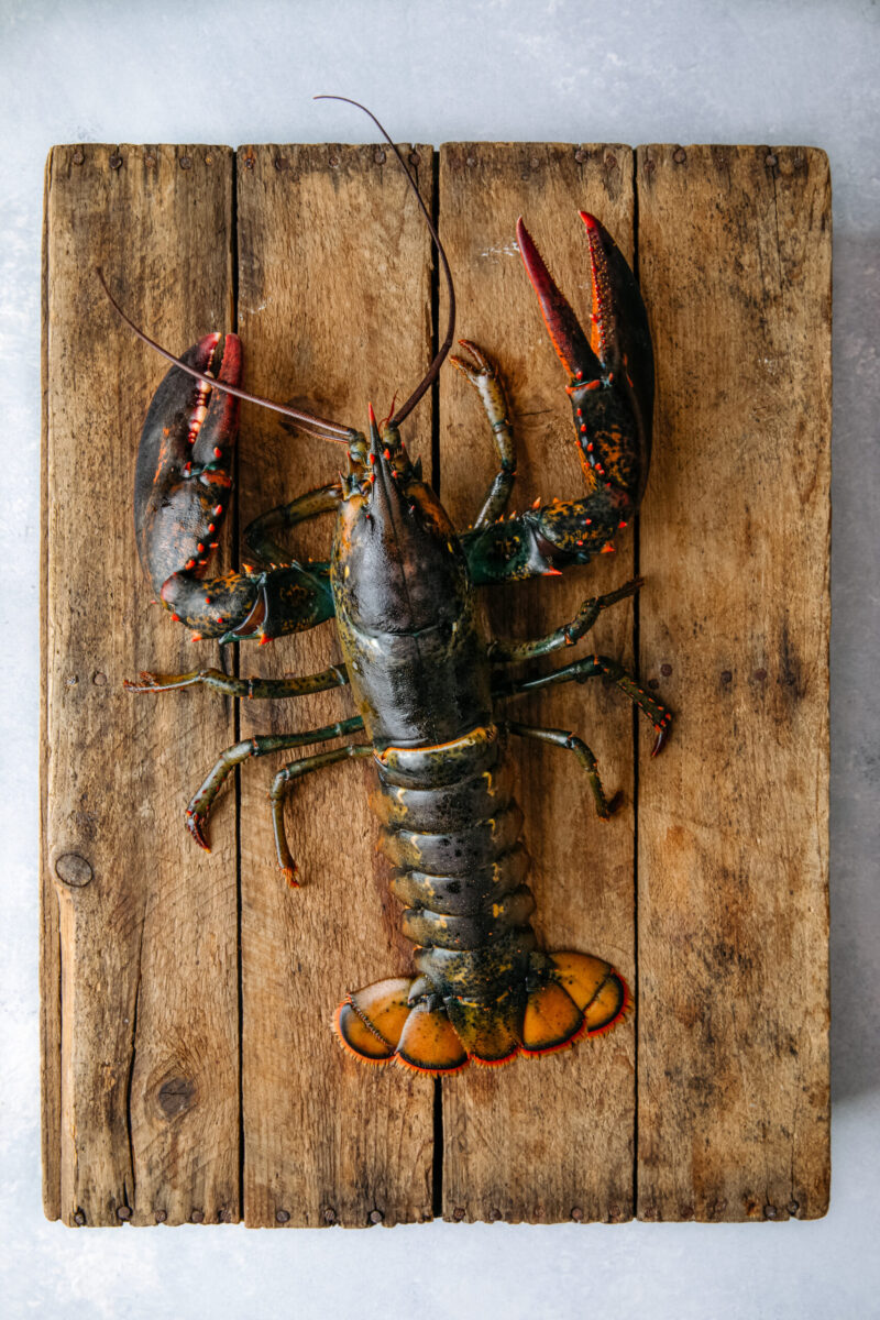 Quick and Easy Split Broiled Lobster with Herb Butter — add1tbsp